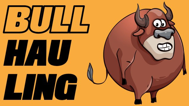 Project 3XX for American Truck Simulator - TruckyMods